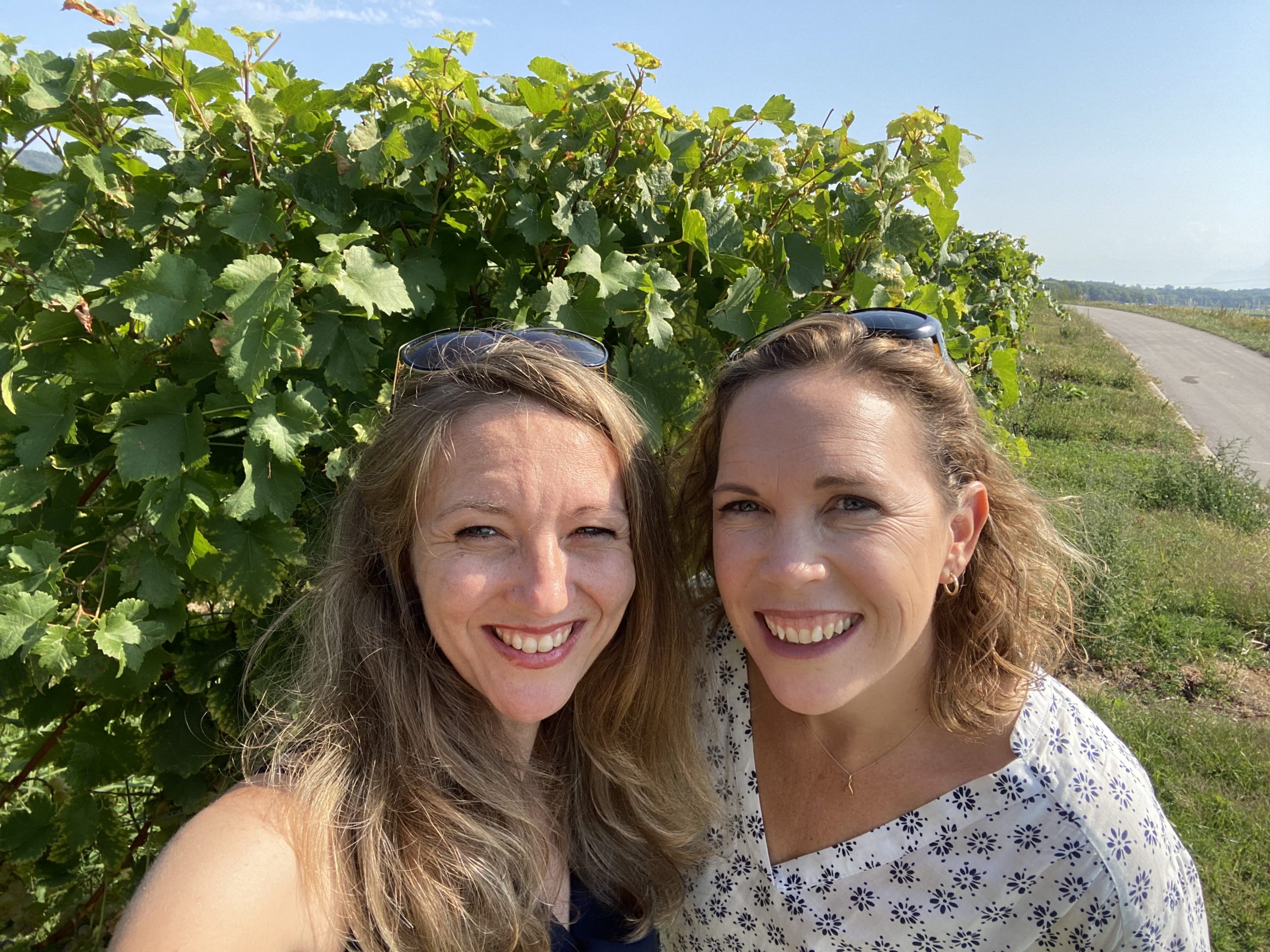 Swiss-Summit-landing | Romandie Speakers